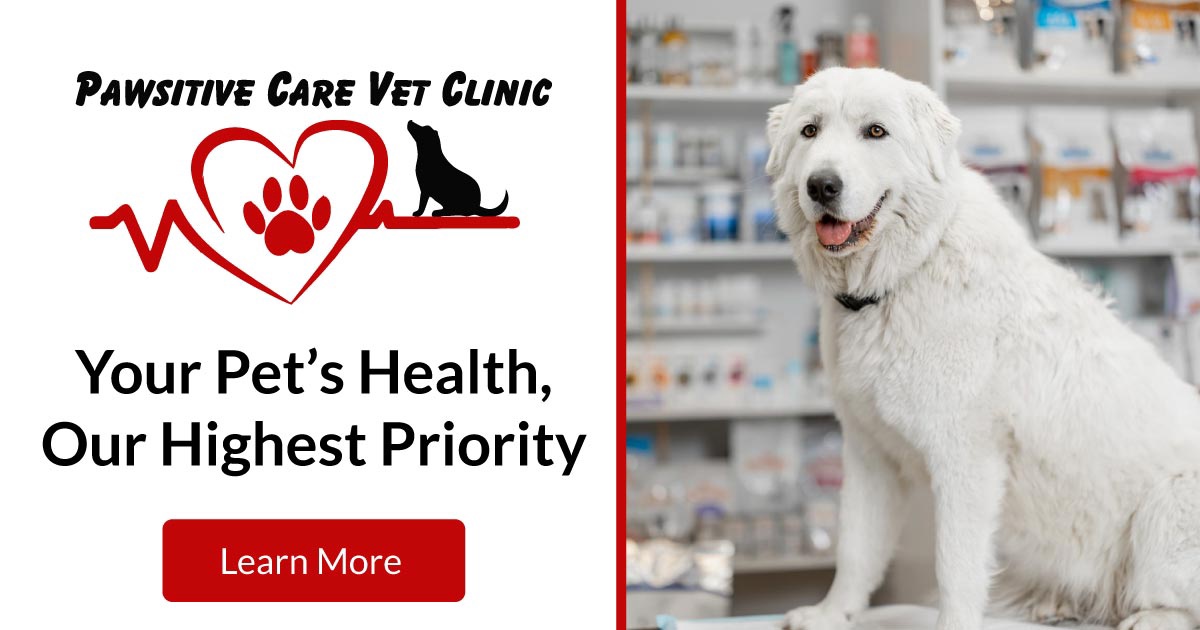 Thoughtful Reproductive Care for Pets | Pawsitive Vet Care Clinic